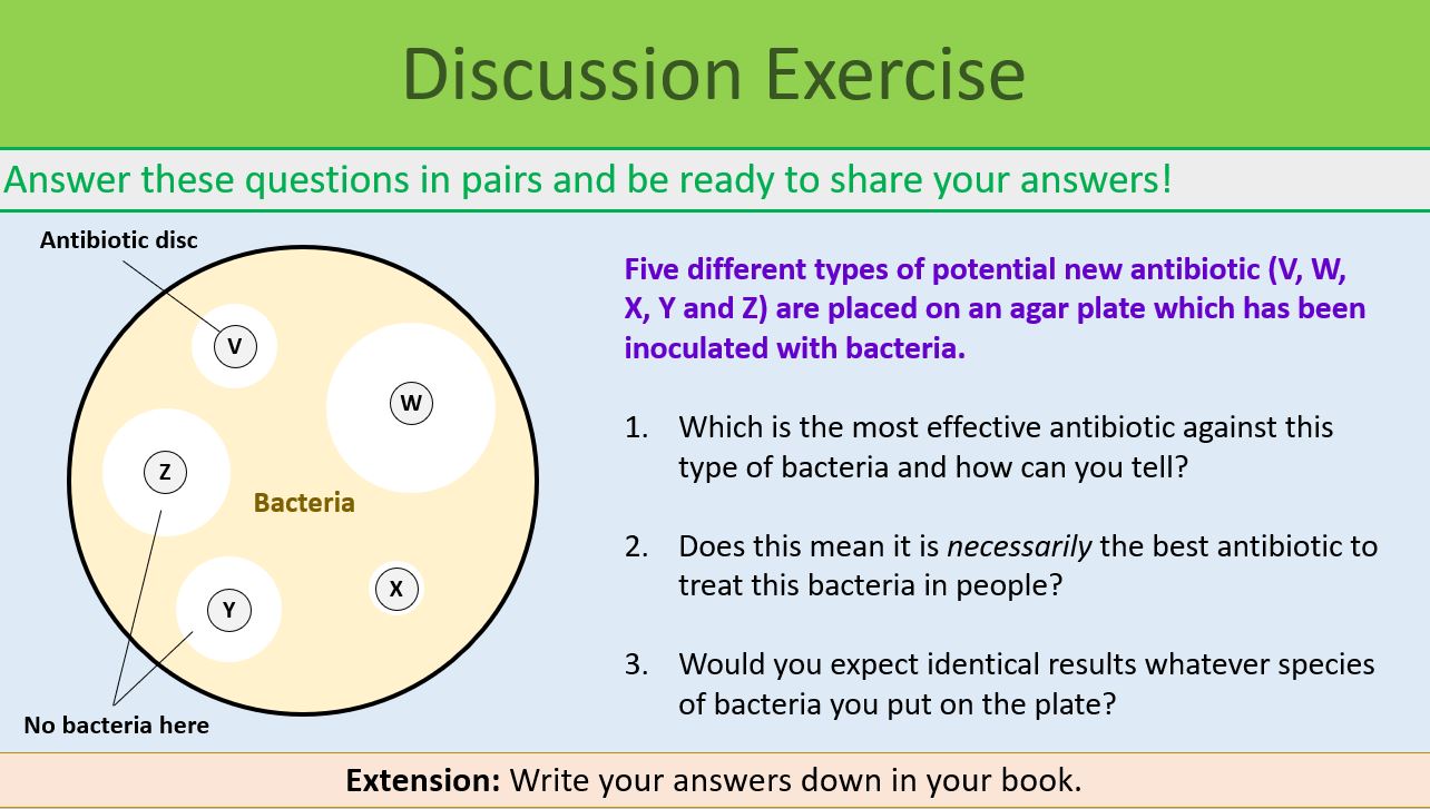 Antibiotics 1 ~ KS3 ~ Year 9 | Teaching Resources