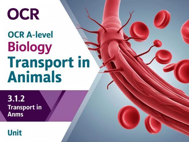 OCR A-level biology 3.1.2 Whole topic-Transport in Animals | Teaching ...