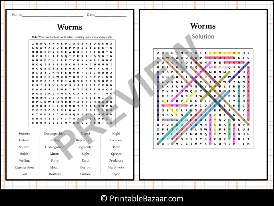 Worms Word Search Puzzle Worksheet Activity | Teaching Resources