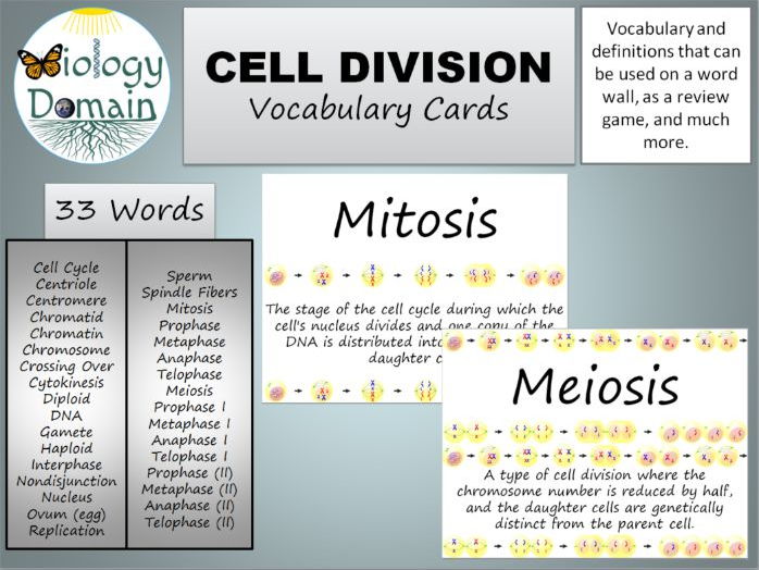 Cell Division Mitosis And Meiosis Word Wall Vocabulary Cards