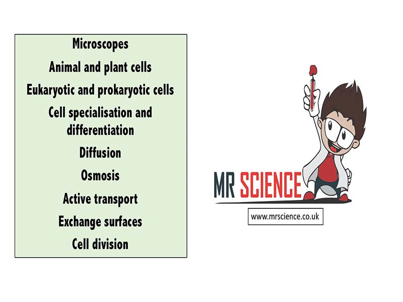 Mr Science - Teaching Resources - TES