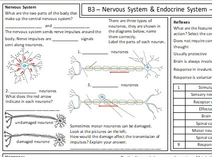 OCR Gateway GCSE Comb Science Biology B3 Revision Mat | Teaching Resources