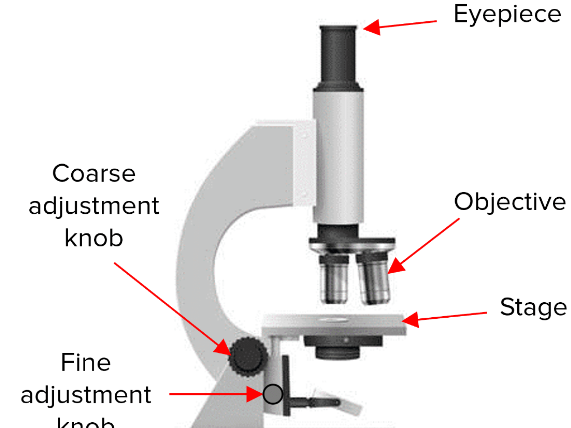 Revision_Paper 1 Biology Reqired Practical | Teaching Resources