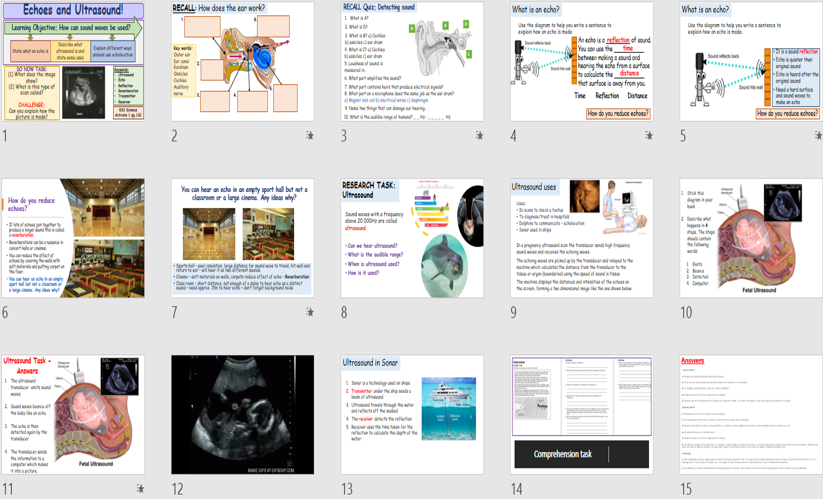 Echoes and Ultrasound KS3 Activate Science | Teaching Resources