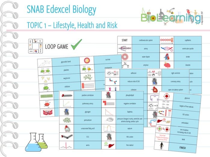 SNAB Biology Topic 1 - Bundle (4) - 5x Lessons + activities | Teaching ...