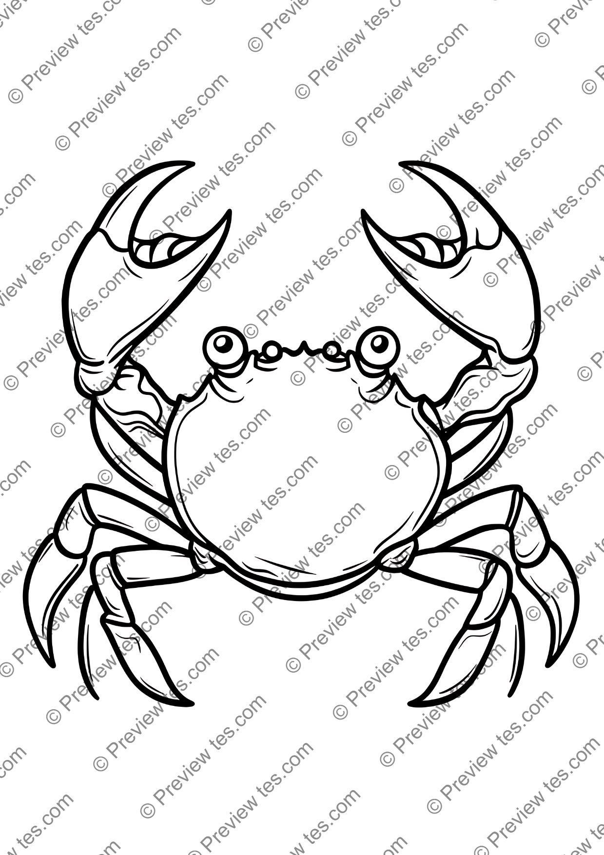 Ocean Animal Colouring Pages | Fun and Engaging Marine Creature Art ...
