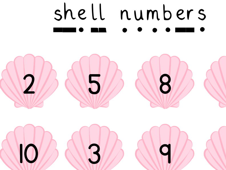 Shell Numbers Bingo | Teaching Resources
