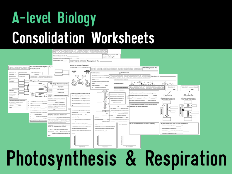 Photosynthesis & Respiration A-level Biology Worksheet Bundle ...