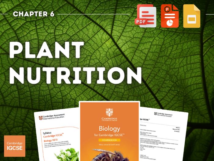 Cambridge IGCSE Biology - Chapter 6 - Plant nutrition | Teaching Resources