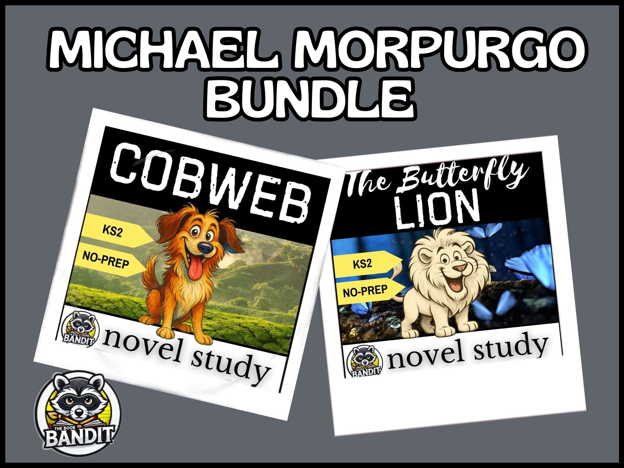THE BUTTERFLY LION and COBWEB Novel Studies | Teaching Resources