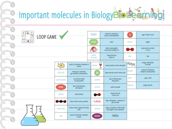 Important Molecules in Biology - Loop Game (KS4 ) | Teaching Resources
