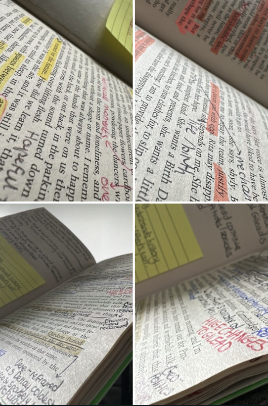 The Handmaid's Tale: Annotations and Study Notes | Teaching Resources