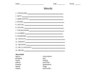 Weeds Word Scramble for a Plant Science Course | Teaching Resources