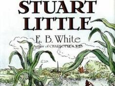 Reading Comprehension- Stuart Little By: E.B. White | Teaching Resources