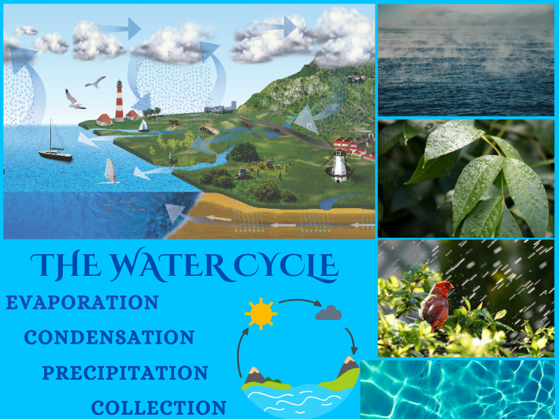 The Water Cycle: Reading Comprehension – Fun, Interactive & Ready-to ...