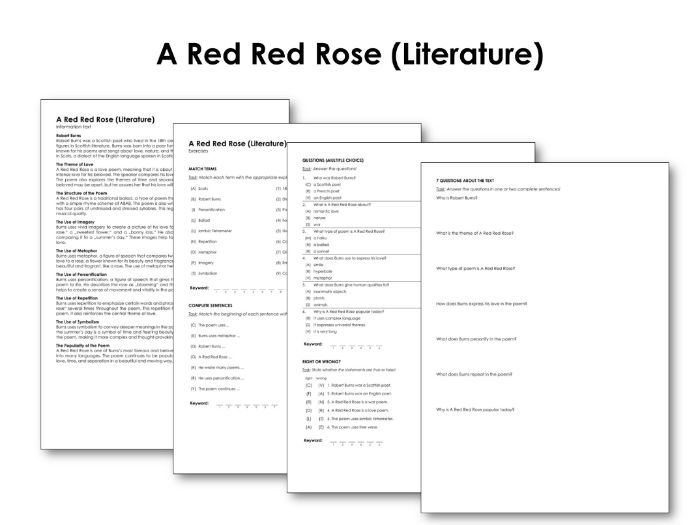 A Red Red Rose (Literature) | Teaching Resources