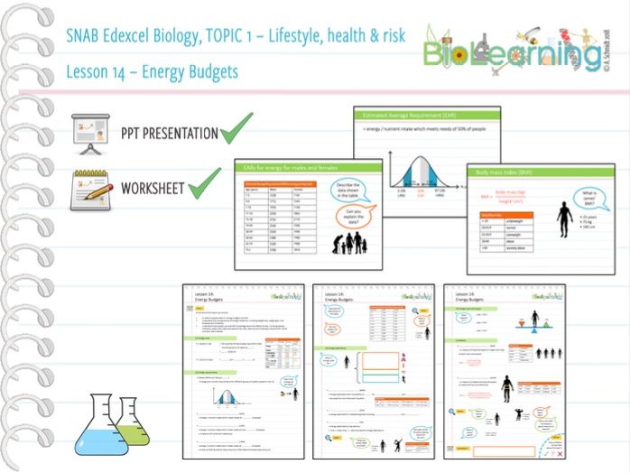 SNAB Biology Topic 1 - Lesson 14 (Energy budgets) – WS and PPT ...
