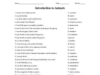 Introduction to Animals Matching Worksheet for Biology II | Teaching ...