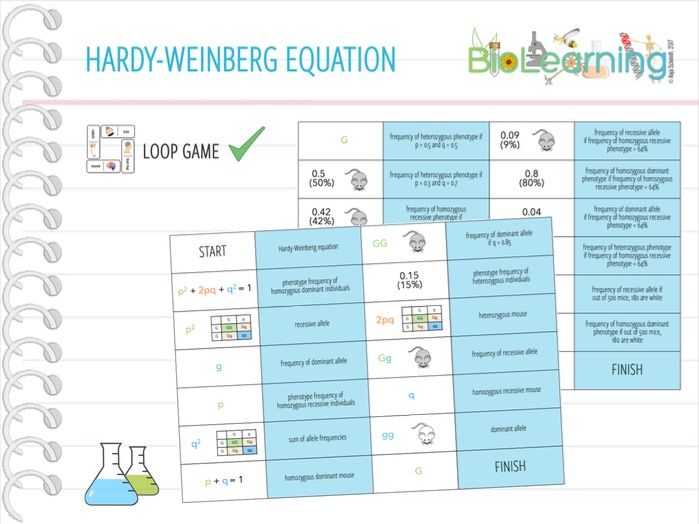 Hardy-Weinberg Equation - Loop Game (KS5) | Teaching Resources