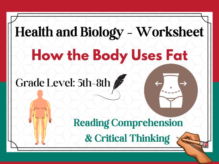 How the Body Uses Fat: Reading Comprehension Passages & Questions ...