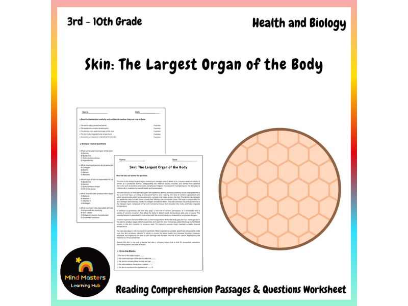 Skin: The Largest Organ of the Body Reading Comprehension Passages ...