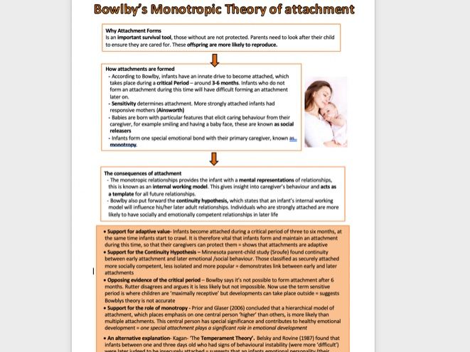 Attachment revision guide | Teaching Resources
