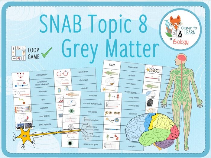 SNAB Biology Topics 5-8 - Loop Games | Teaching Resources