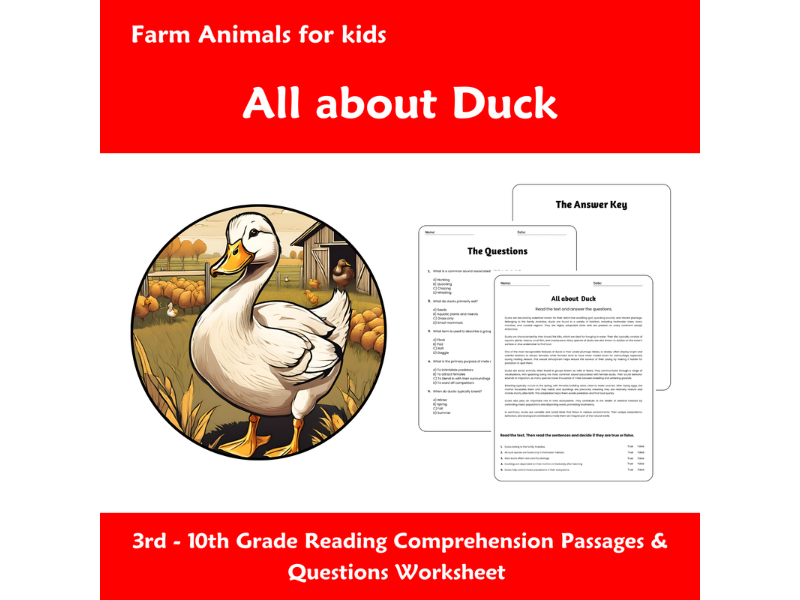 All About Ducks Reading Comprehension Passages & Questions Worksheets ...