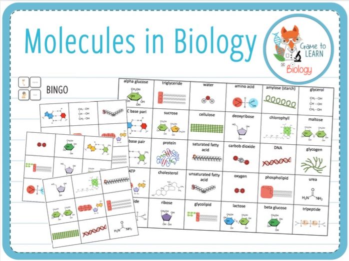 Molecules in A-level Biology - Bingo (KS5) | Teaching Resources