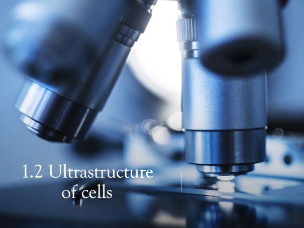 IBDP Biology 1.2 Ultrastructure of cells | Teaching Resources