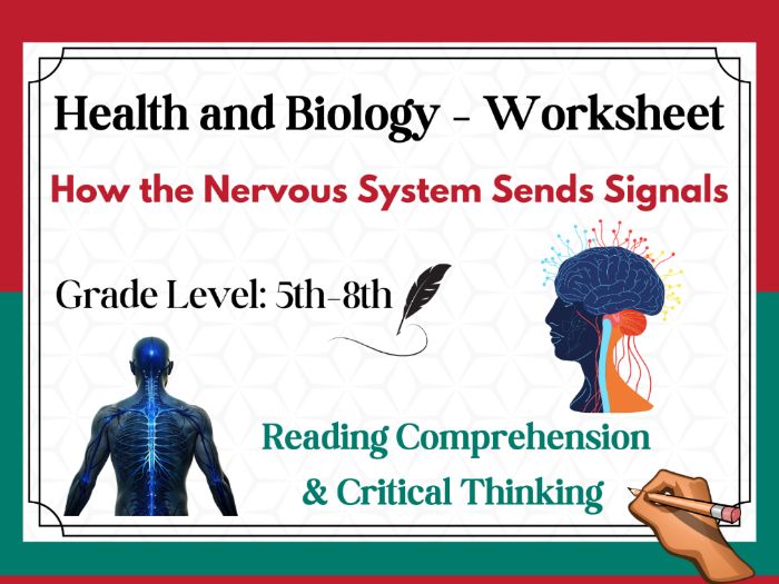 How the Nervous System Sends Signals: Reading Comprehension Passages ...