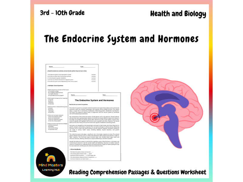 The Endocrine System and Hormones Reading Comprehension Passages ...