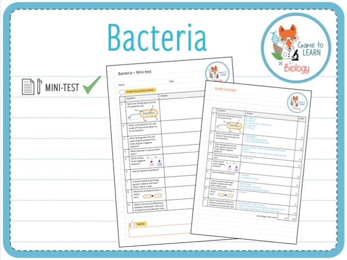 Bacteria - Mini-test (KS5) | Teaching Resources