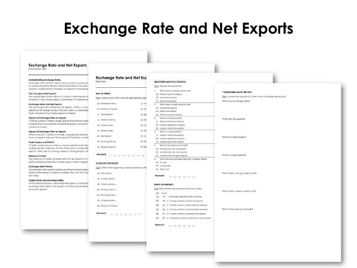 Exchange Rate and Net Exports | Teaching Resources