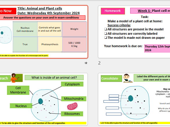 Animal and Plant cells KS3 | Teaching Resources