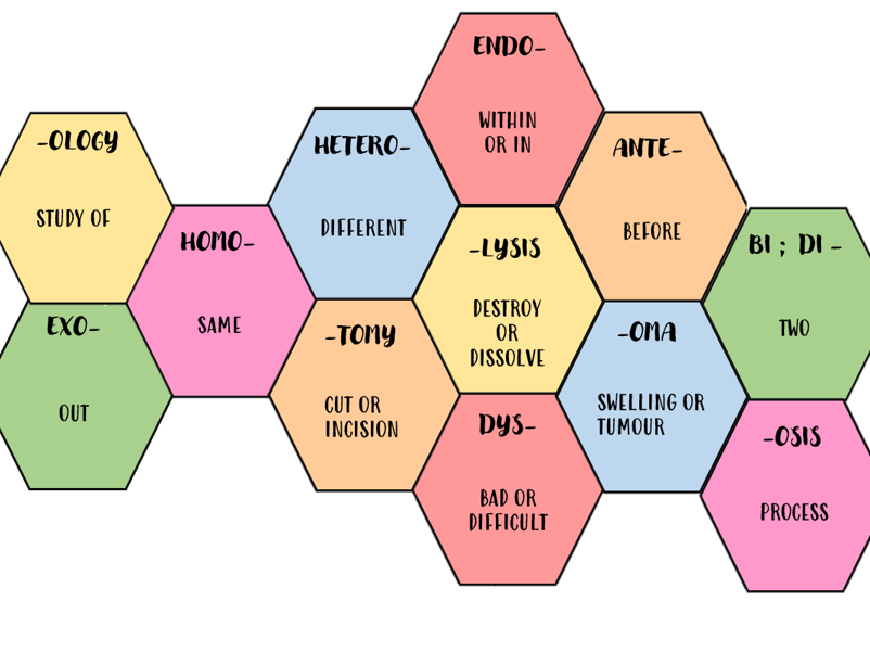 Honeycomb science word wall | Teaching Resources
