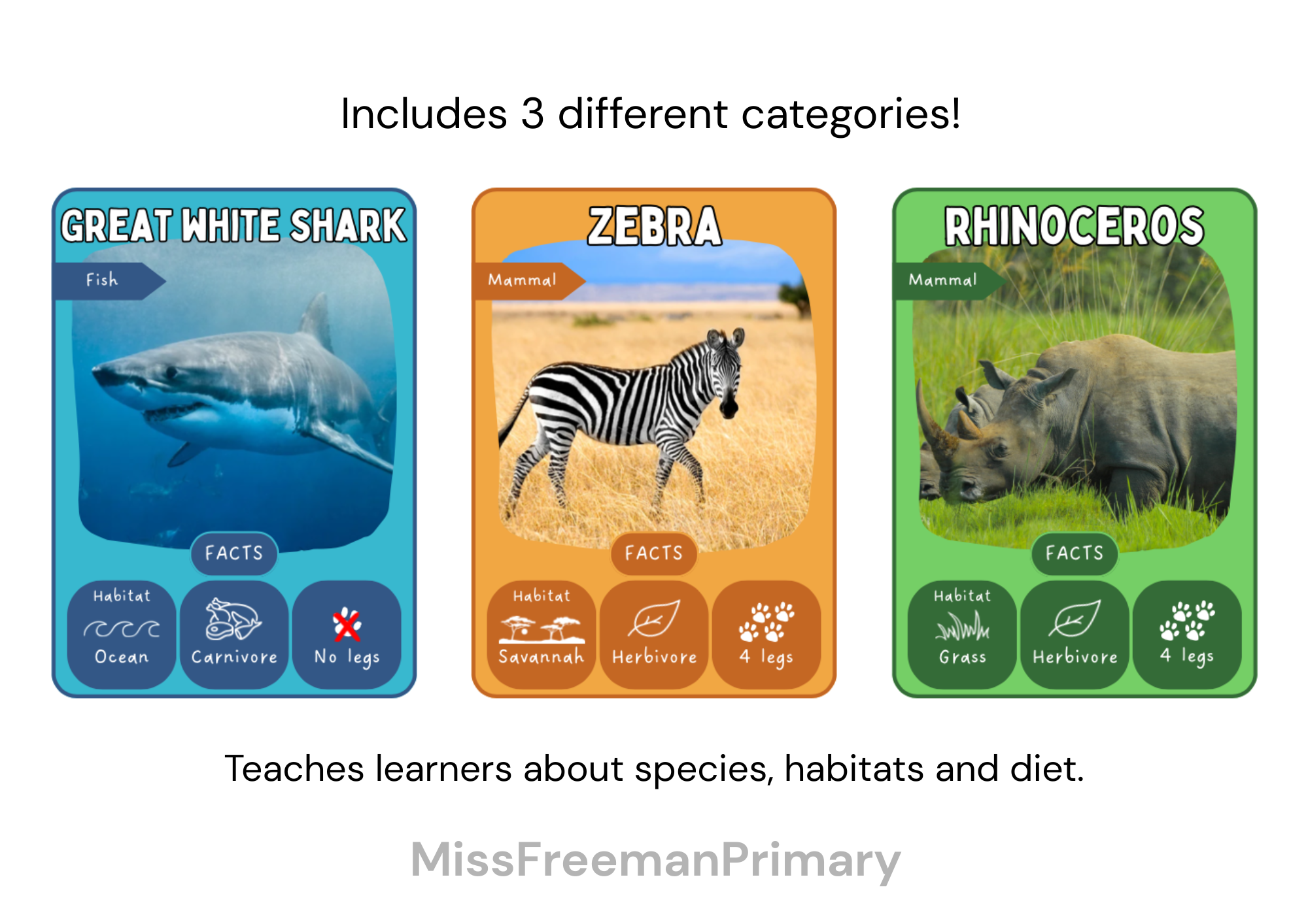 KS1&2 Animal Classification Game - Ask Me 10! | Teaching Resources