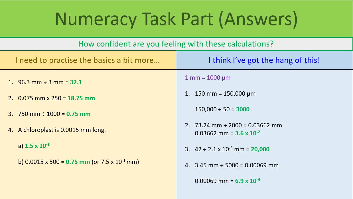 Microscopy Lesson GCSE Biology | Teaching Resources