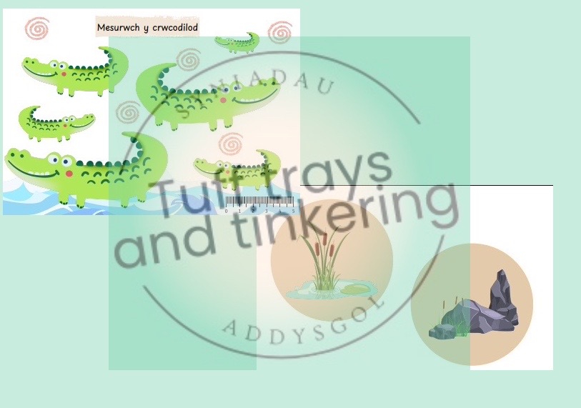 mesur the crocodile maths Curriculum for Wales Early Years PS1 addysg ...