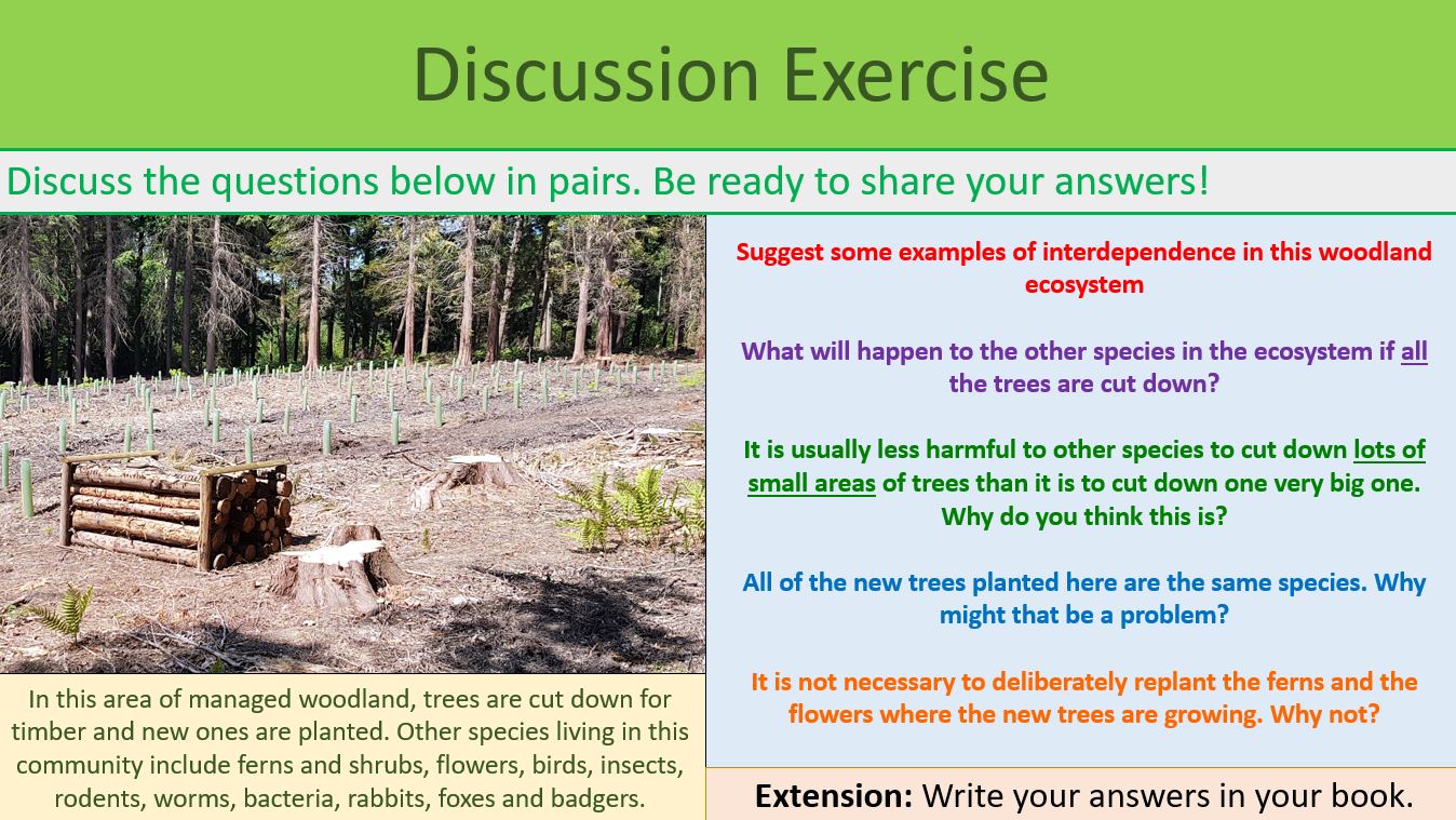 Ecosystems ~ KS3 ~ Year 8 | Teaching Resources