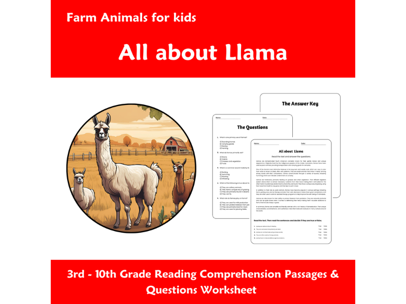 All About Llamas Reading Comprehension Passages & Questions Worksheets ...