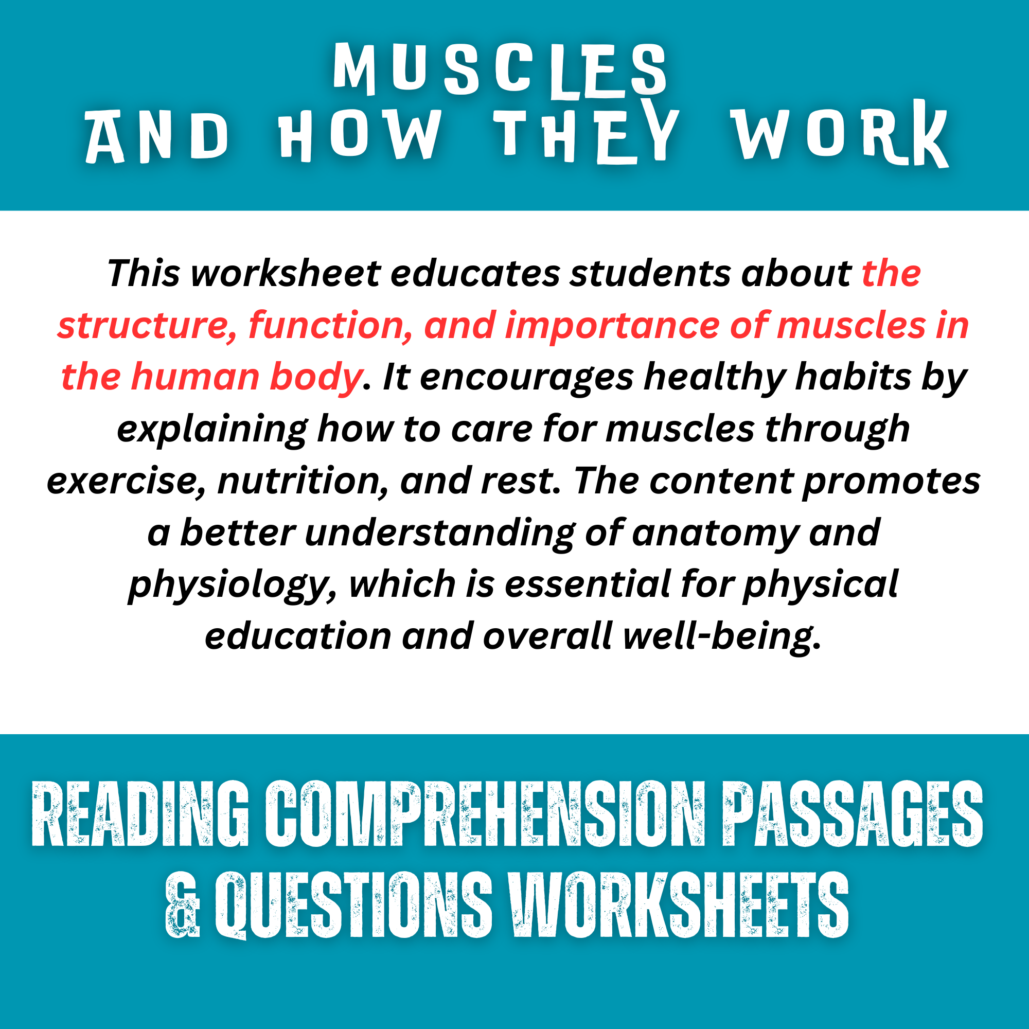 Muscles and How They Work - Health Reading Worksheet | Teaching Resources