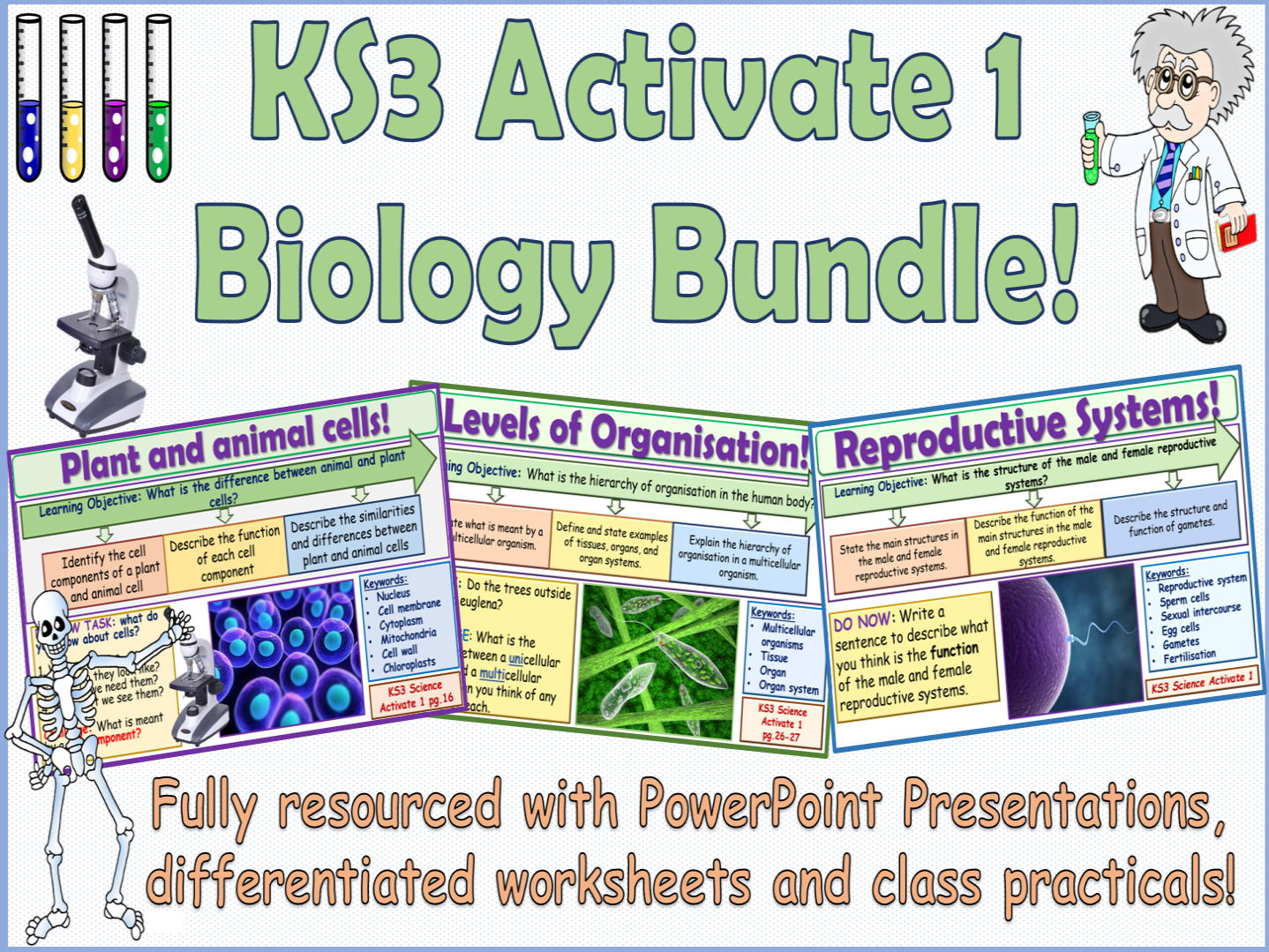 Activate 1 KS3 Biology Bundle | Teaching Resources