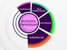 AS Level Business (9609) - 1.2.2 Business Ownership | Teaching Resources