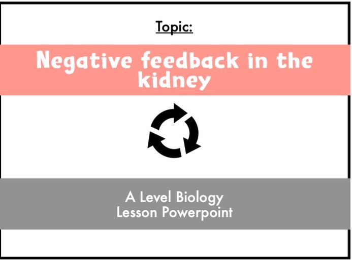 Negative feedback in the kidney- A Level Biology | Teaching Resources