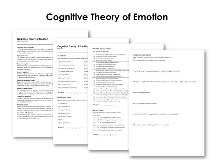 Learning And Emotion: Perspectives For Theory And Research – ZHERSS