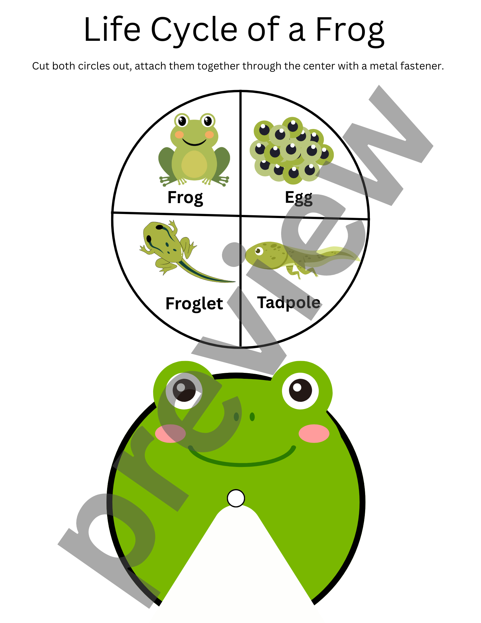 Life Cycle Spinner Cards | Animal & Insect Life Cycle Craft | Teaching ...