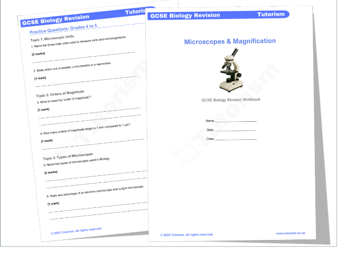 GCSE Biology Microscopes and Magnification Workbook | Teaching Resources