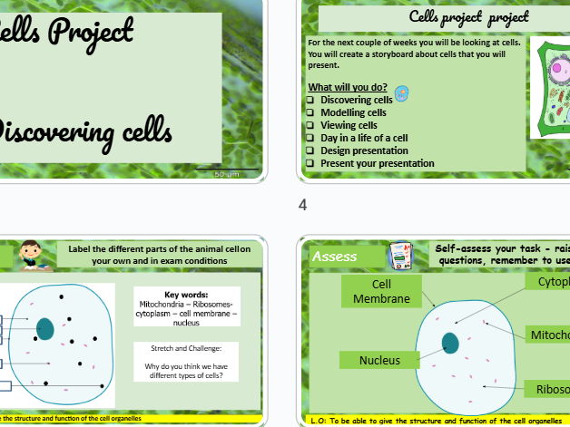 Life of a cell KS3 project (7 lessons) | Teaching Resources