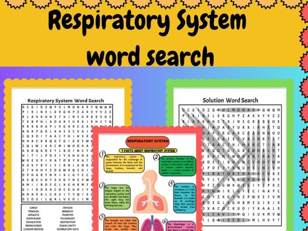 Human Body Systems | Respiratory System | Facts and Word Search ...